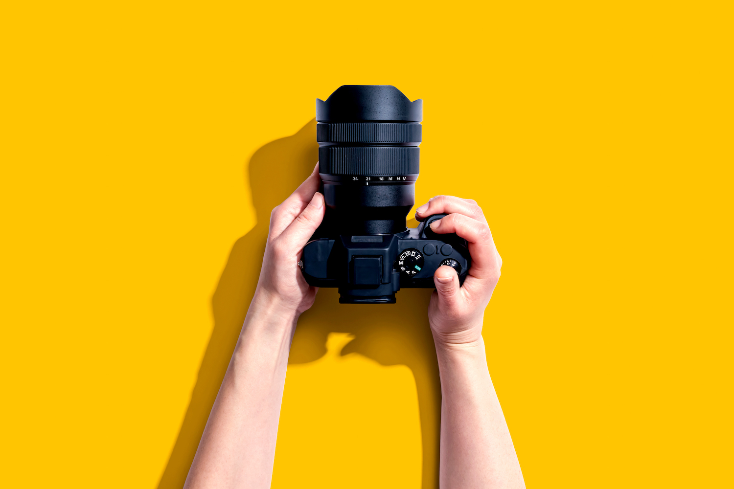 Professional photography ROI Case Study